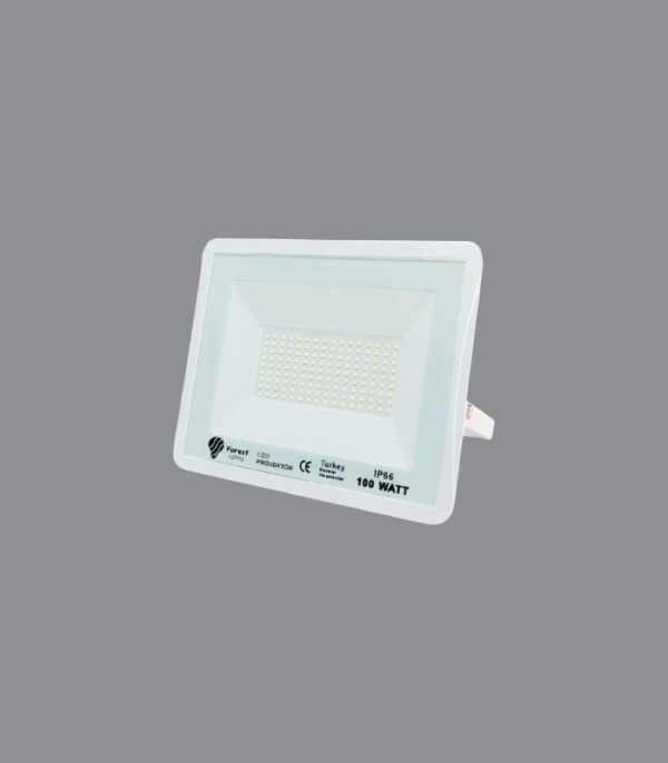 100w Led Projektör – Forest Lighting