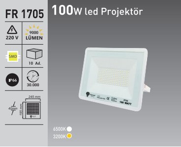100w Led Projektör – Forest Lighting